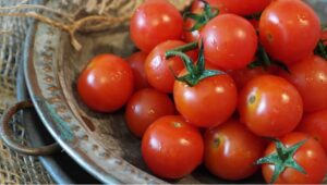 What Are Patio Tomatoes And How To Grow Them