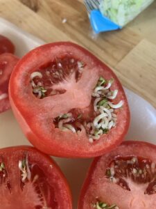 How To Tell If A Tomato Has Gone Bad