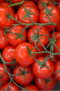Where Did Tomatoes Come From